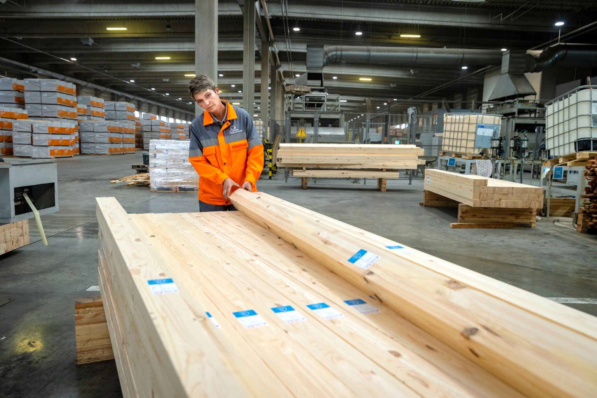 HS Timber.jpg | Forest Stewardship Council