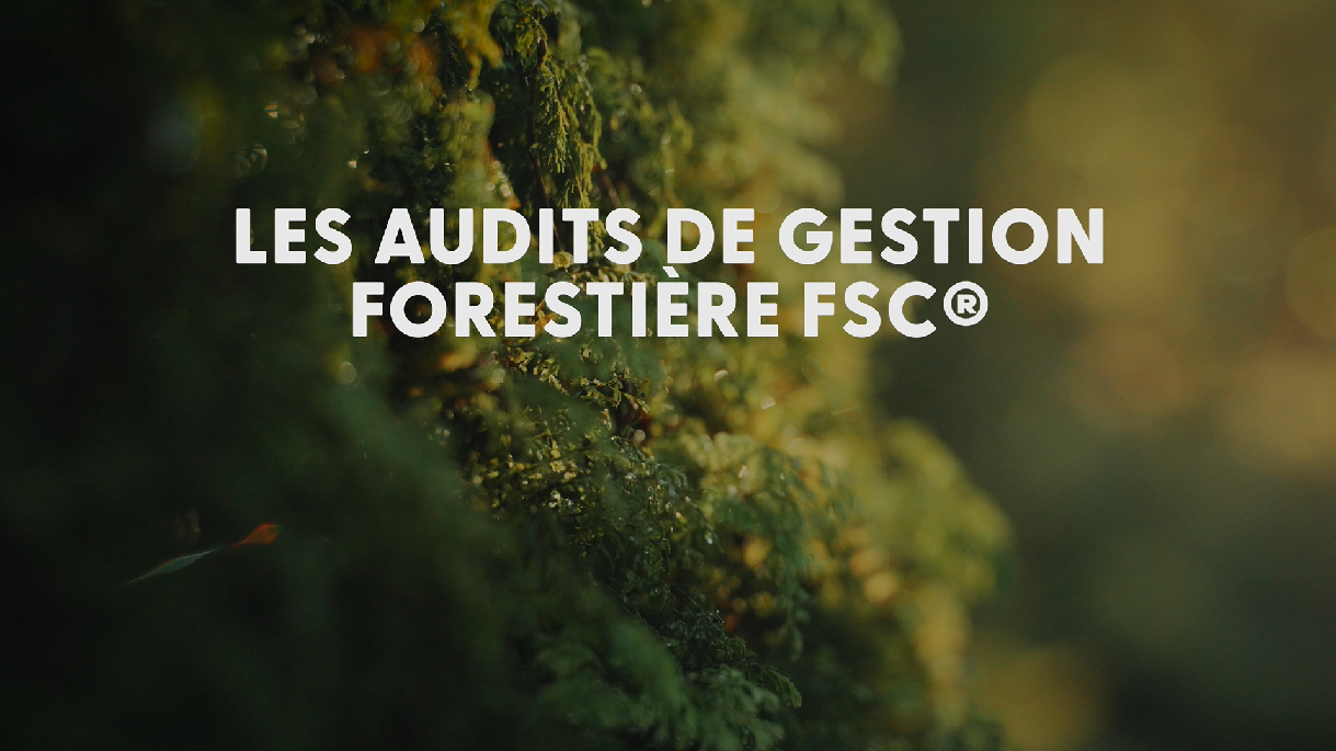 Comment se préparer à un audit FSC en forêt ? | Forest Stewardship Council
