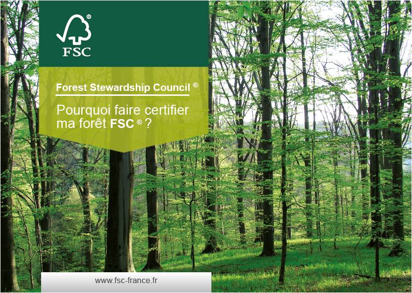 Pourquoi faire certifier ma forêt FSC ? Un nouveau guide et 4 fiches informatives | Forest ...