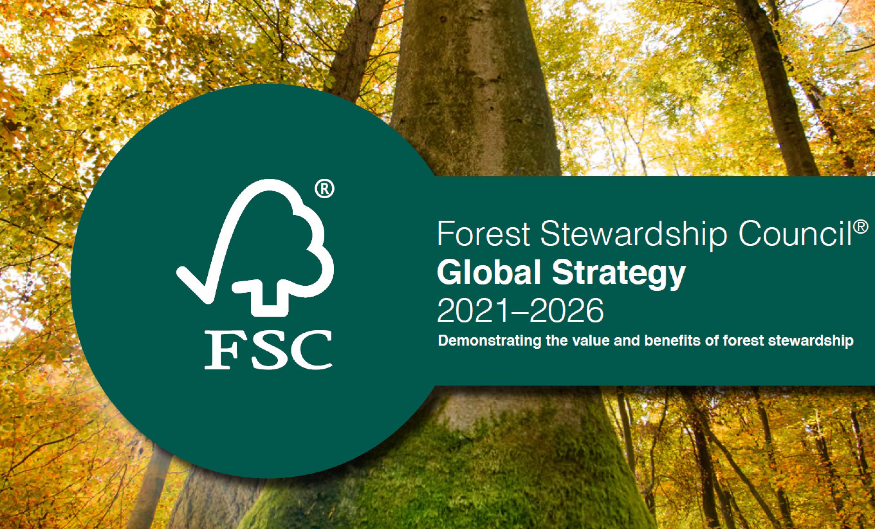 Stratégie mondiale FSC 2021-2026 : Démontrer la valeur et les bénéfices de la gestion forestière ...
